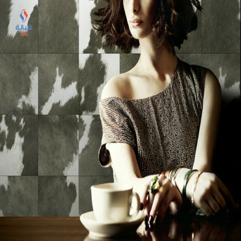 Zootopia Korean Wallpaper – 15m² – Dark Grey with White Creamy - Shabana Stores - شبانة ستورز